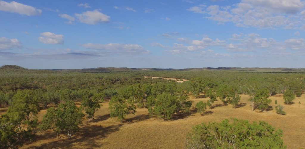 Rangelands Declaration released – Queensland Science Network